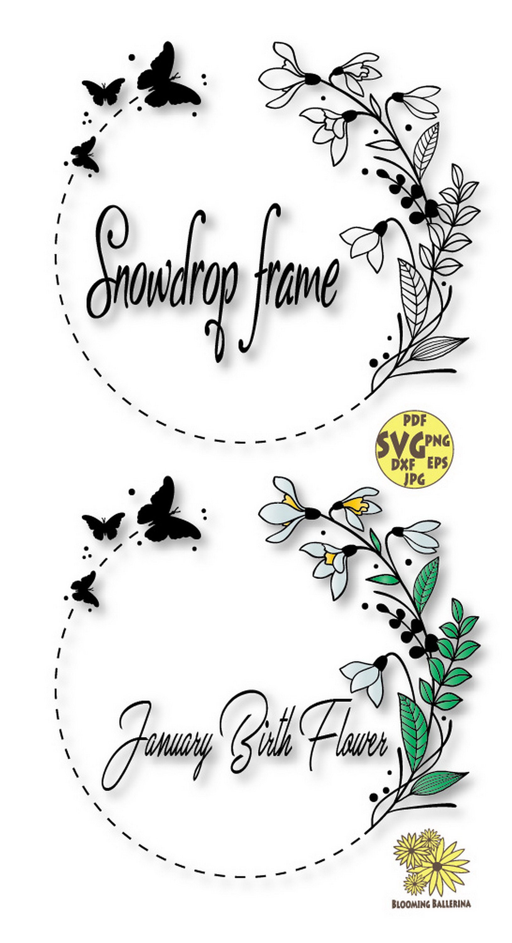 Snowdrop Svg Circle Frame Svg Birth Flower Svg January - Etsy