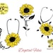 Stethoscope With Sunflower and Nurse Word Bundle Svg File, Flower Nurse ...