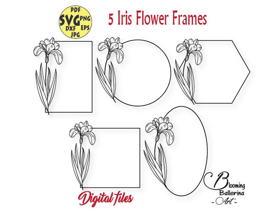 Iris Flower Svg, Bundle Frames Svg, Floral Frames Svg, Iris Svg ...