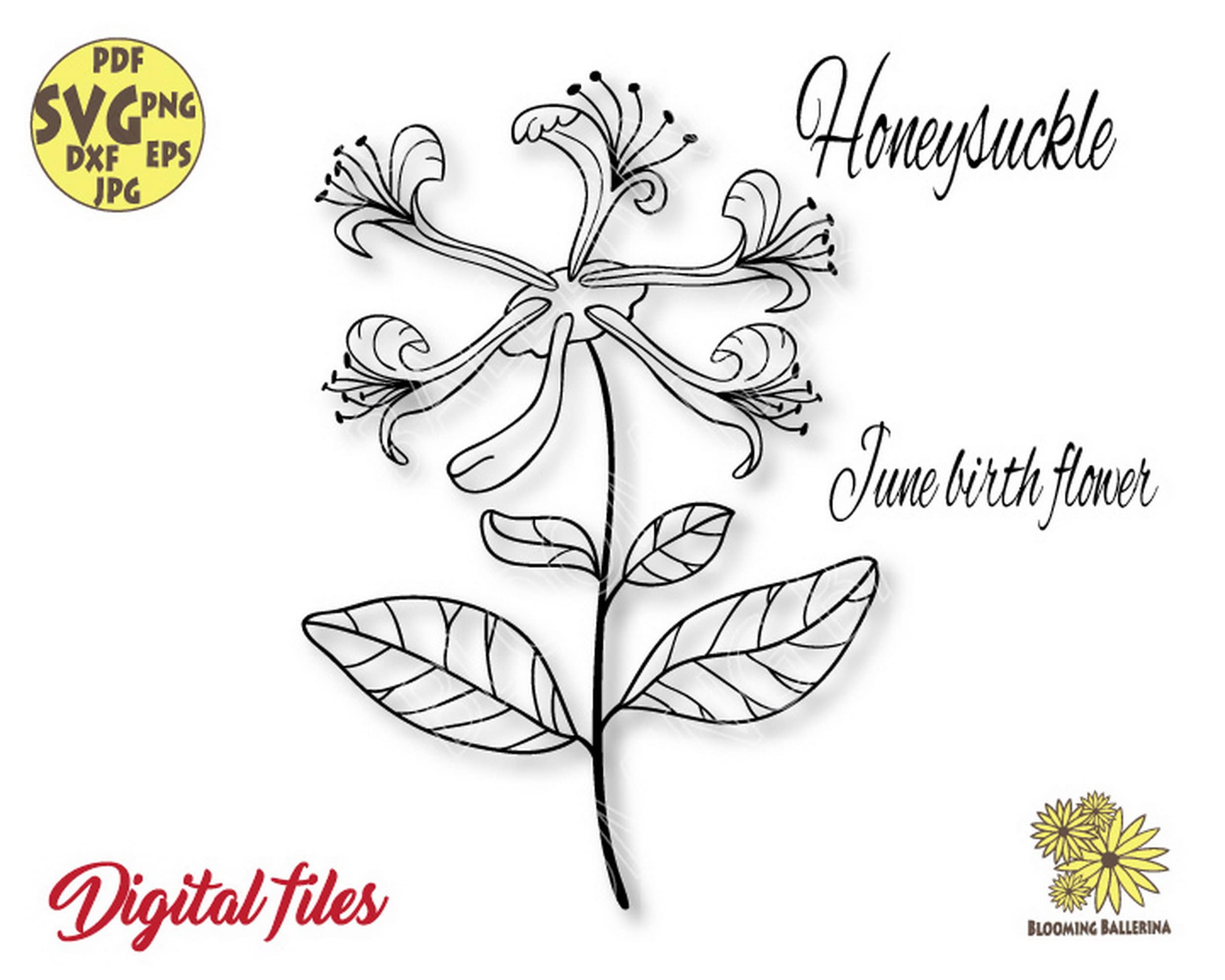 Honeysuckle Flower Svg File June Birth Flower Svg - Etsy