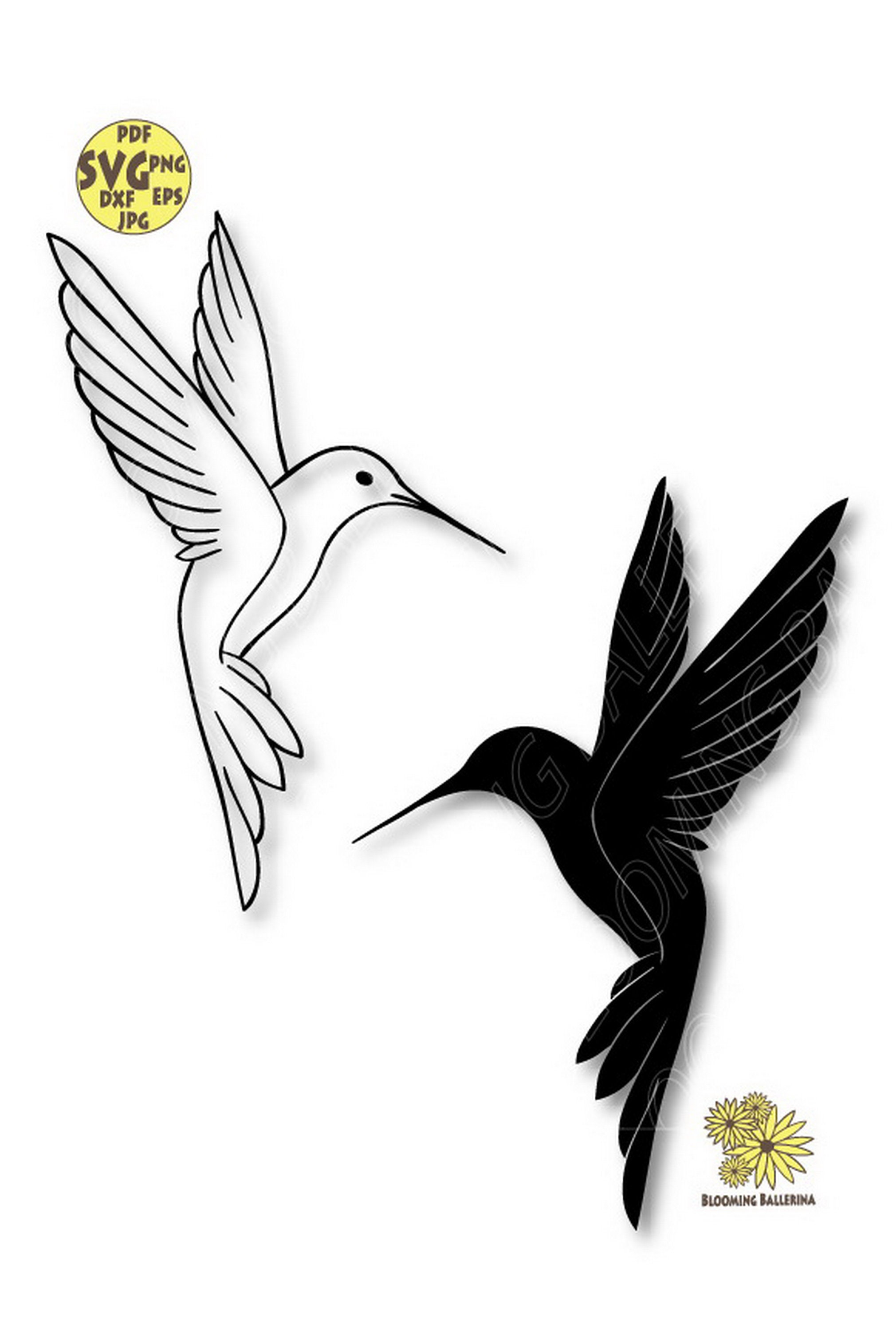 Silueta de colibrí Colibrí Svg Colibríes Svg Archivo de - Etsy México