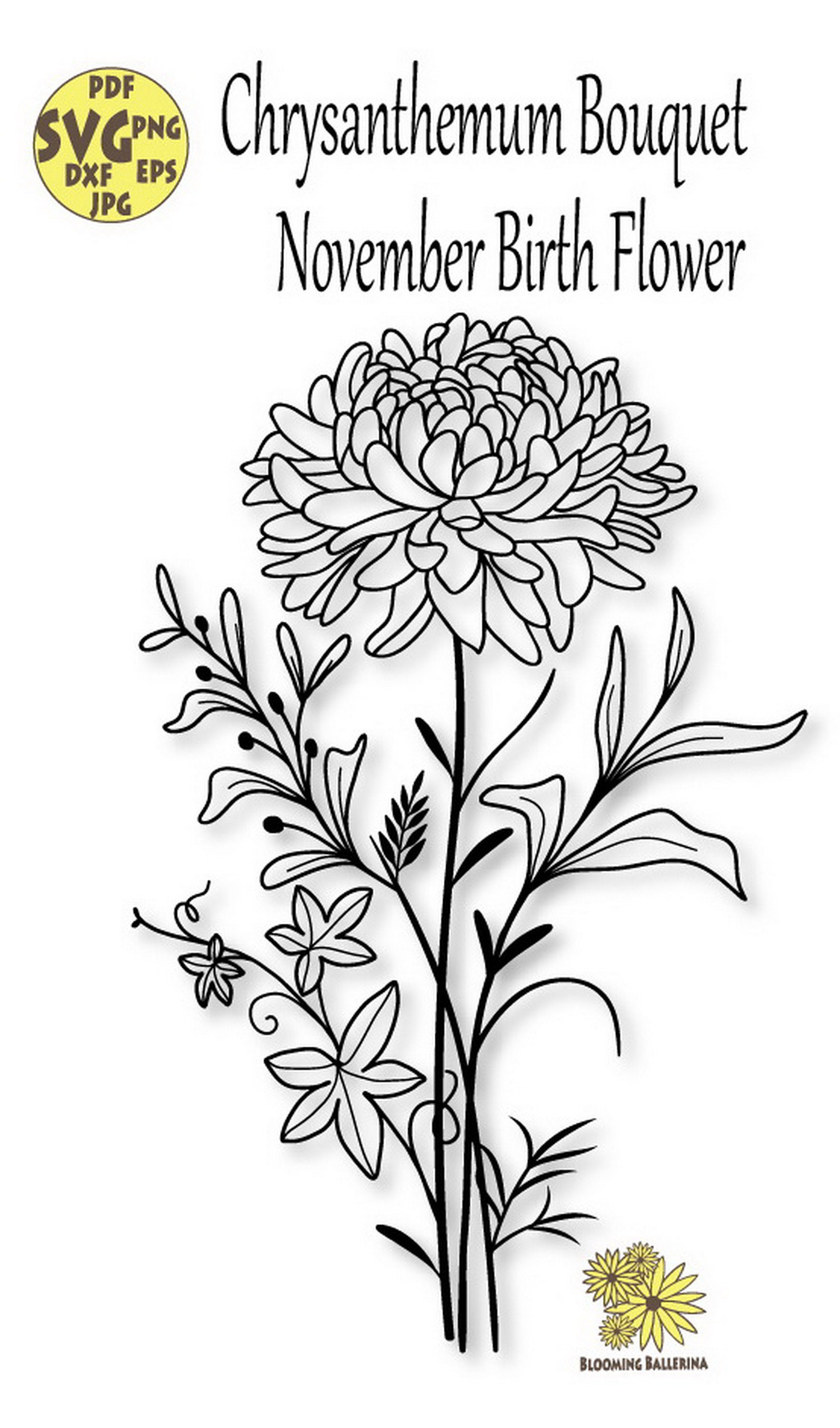 Chrysanthemum Svg November Birth Flower Svg Floral Zodiac - Etsy