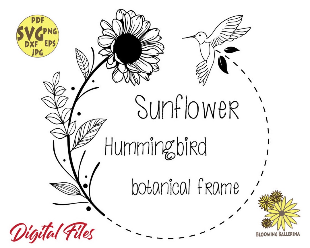 Botanical Circle Frame With Sunflower and Hummingbird Svg File ...