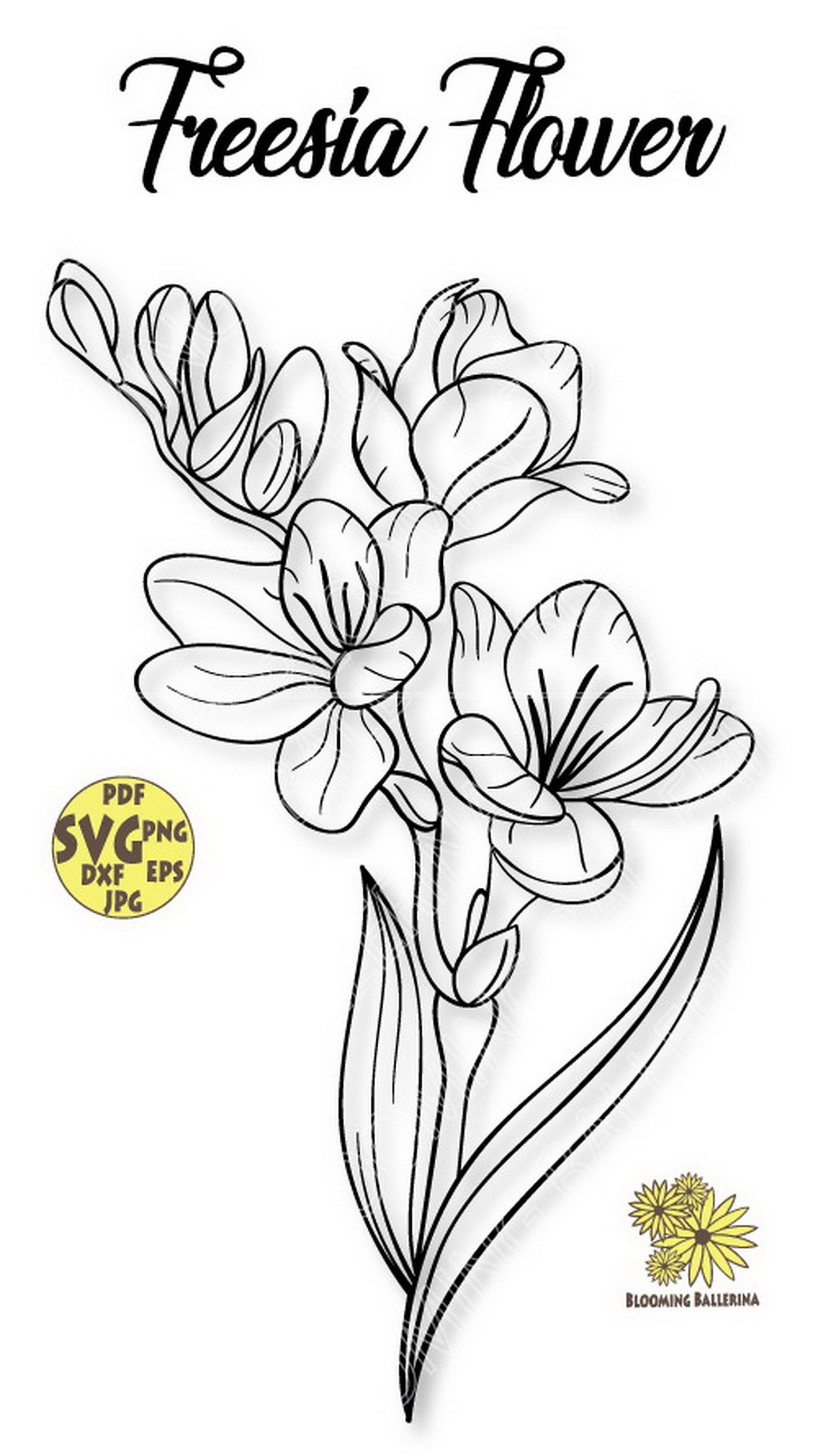 Hand Drawn Freesia Svg Wedding Flower Digital File Freesia - Etsy