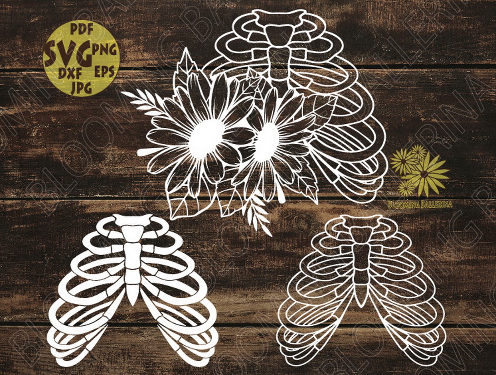 Flower Rib Cages Svg File Ribcage Svg Rib Cage Floral Cut - Etsy UK