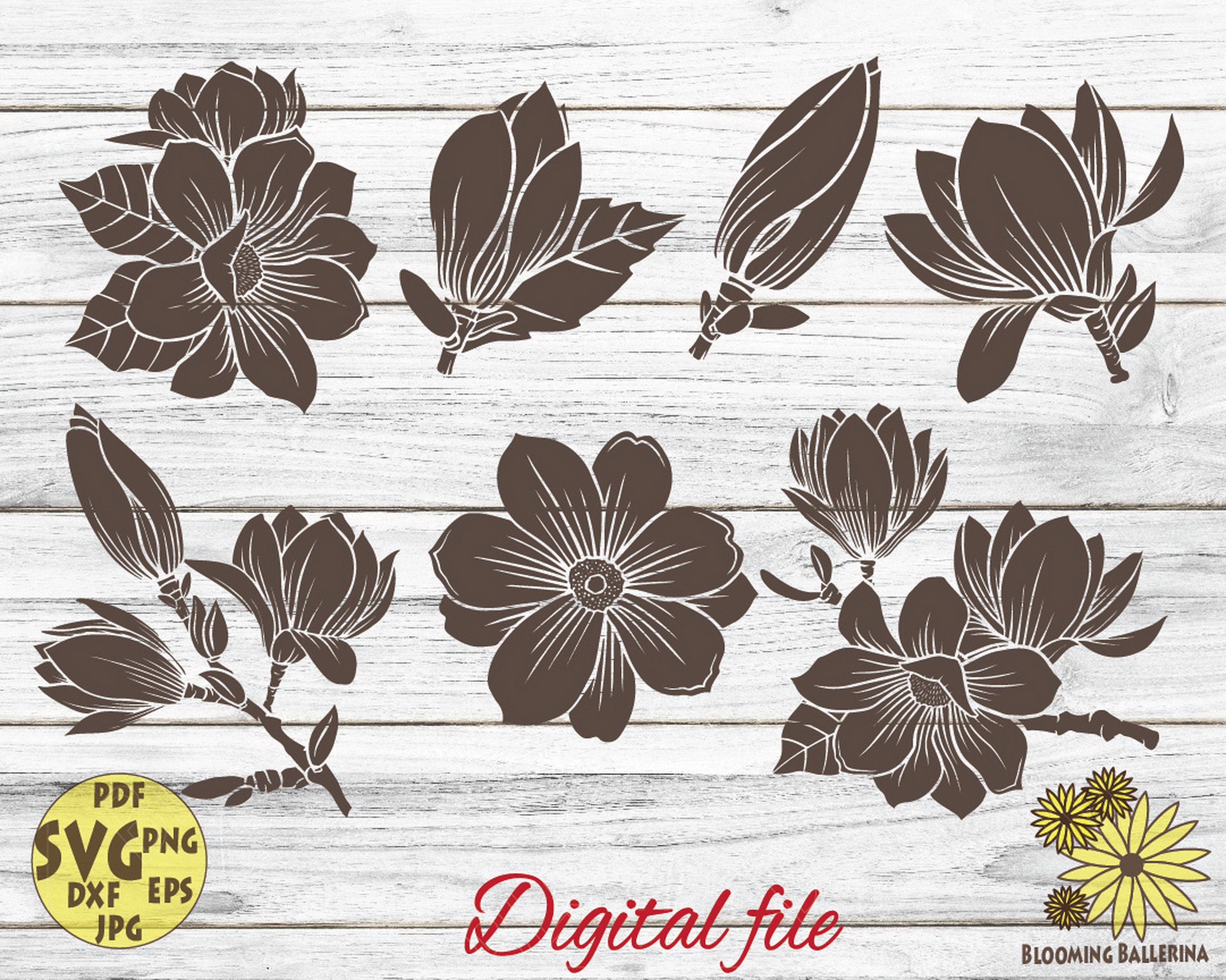 Magnolia Branches Svg Magnolia Svg Floral Svg Magnolia - Etsy