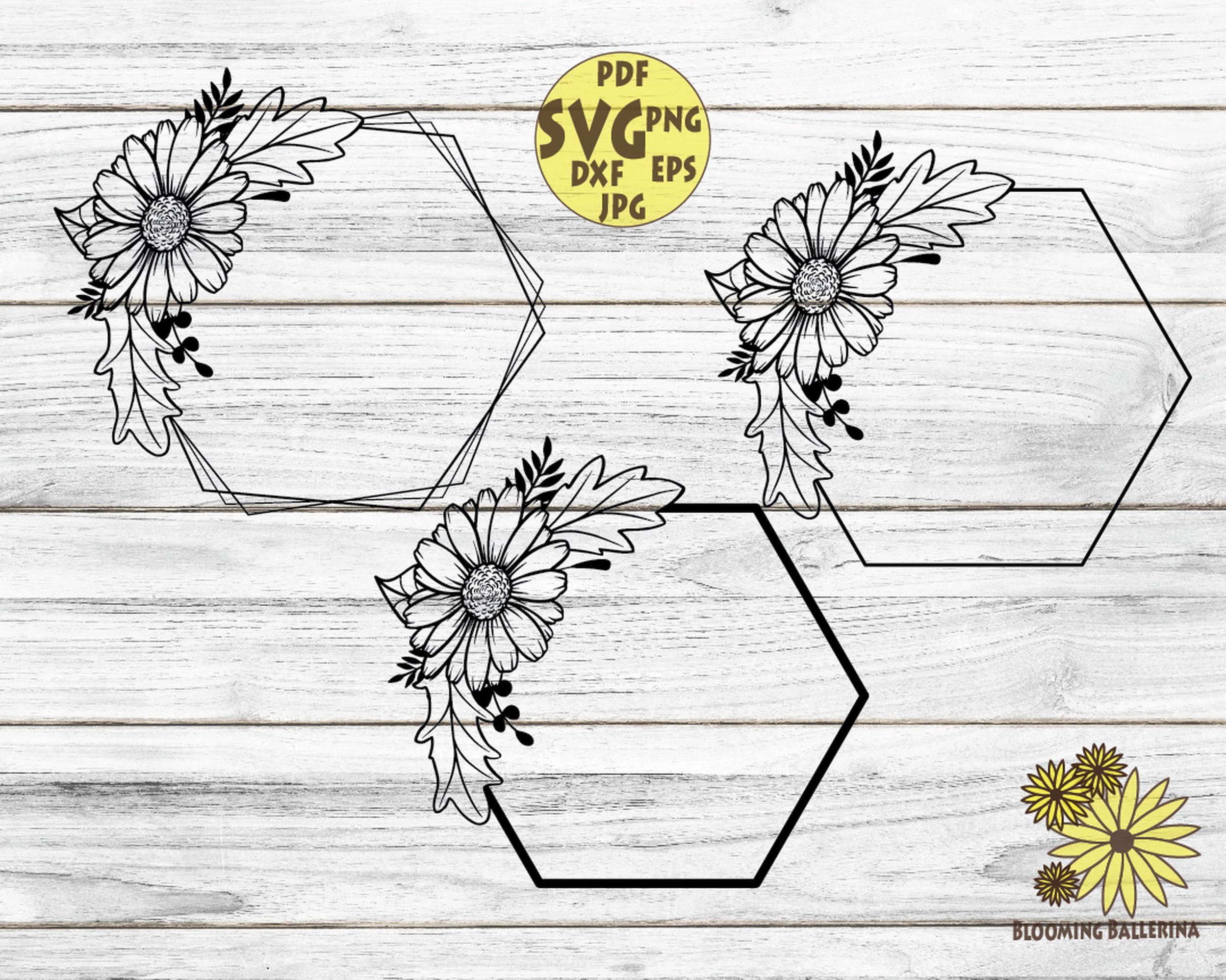 Bundle Floral Borders Svg Daisy Svg Hexagonal Floral | Etsy