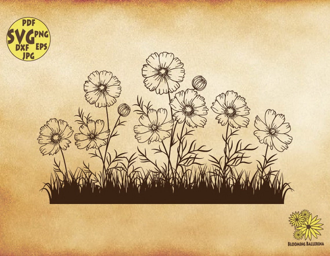 Field of Wildflowers Svg Cosmos Flowers Svg Flower Border - Etsy