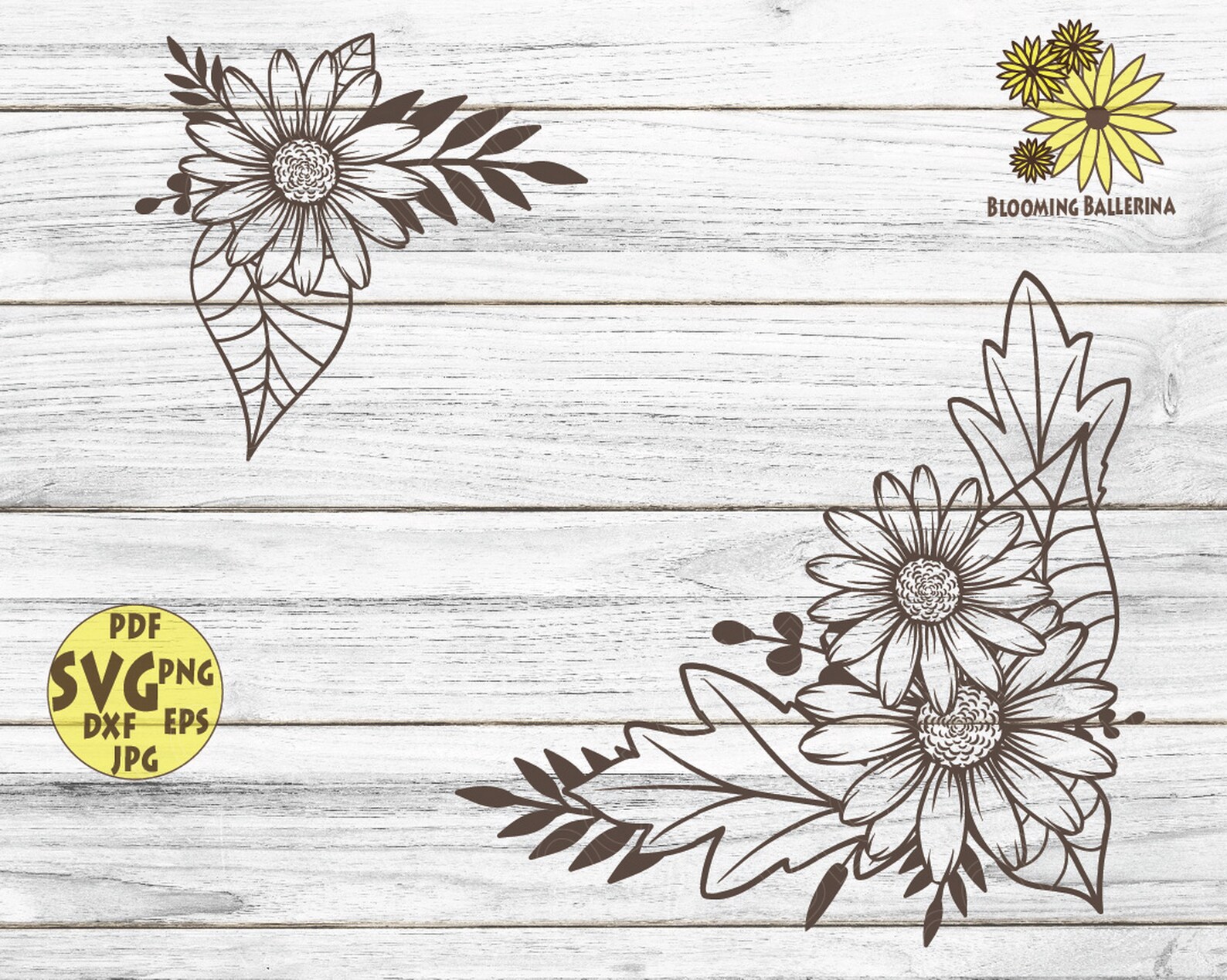Floral Border Svg, Floral Corners Svg, Daisies Svg, Frame Svg, Floral ...
