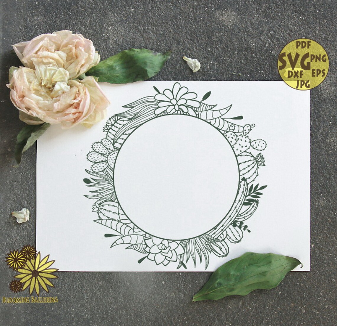 Cactus Frames Svg Round Frame Svg Suculent Frame Svg Circle - Etsy UK