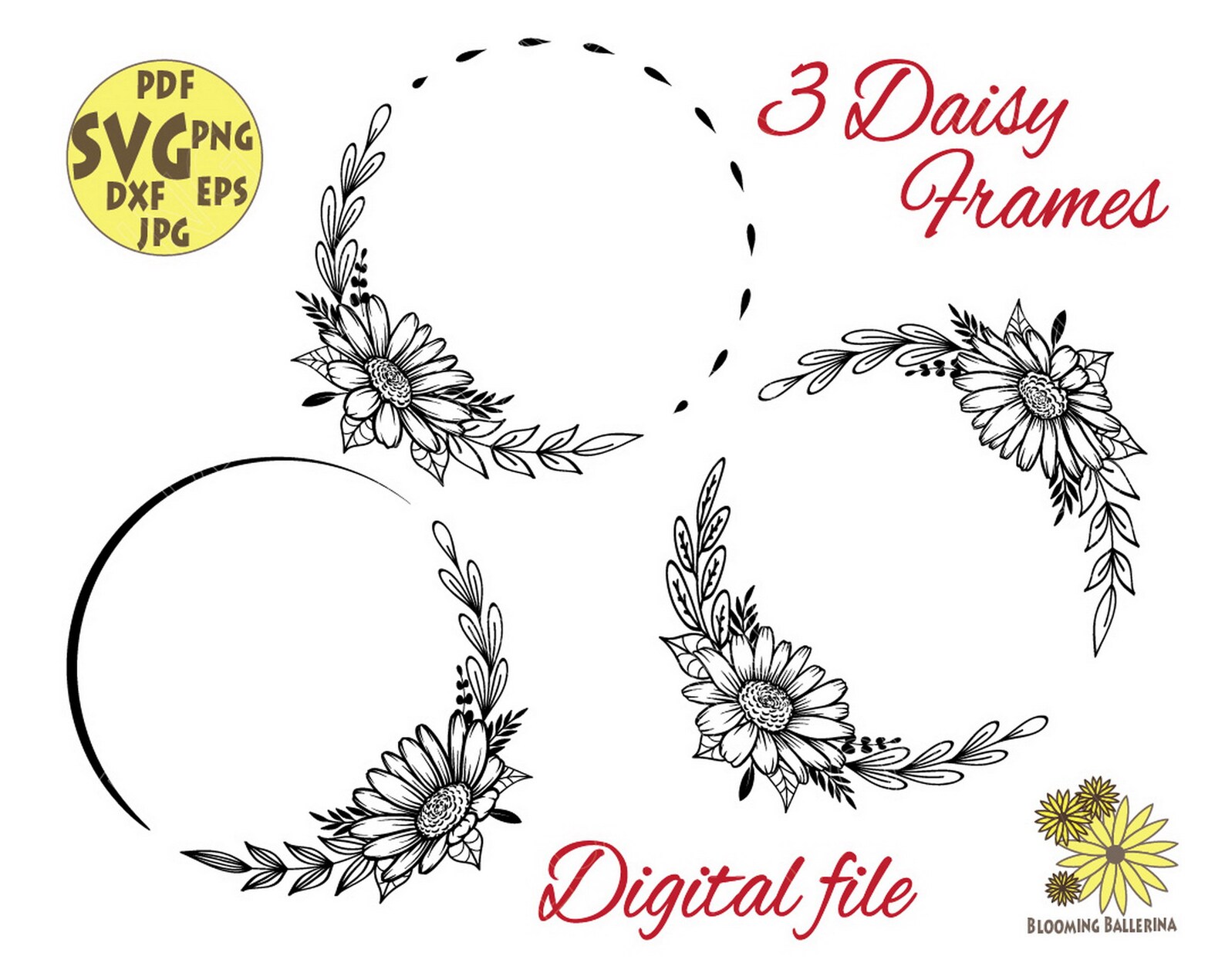 Frame Svg Floral Borders Svg Floral Svg Daisy Svg Monogram - Etsy