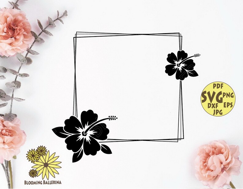 Hibiscus Svg Tropical Svg Geometrical Frames Svg Frame Svg | Etsy