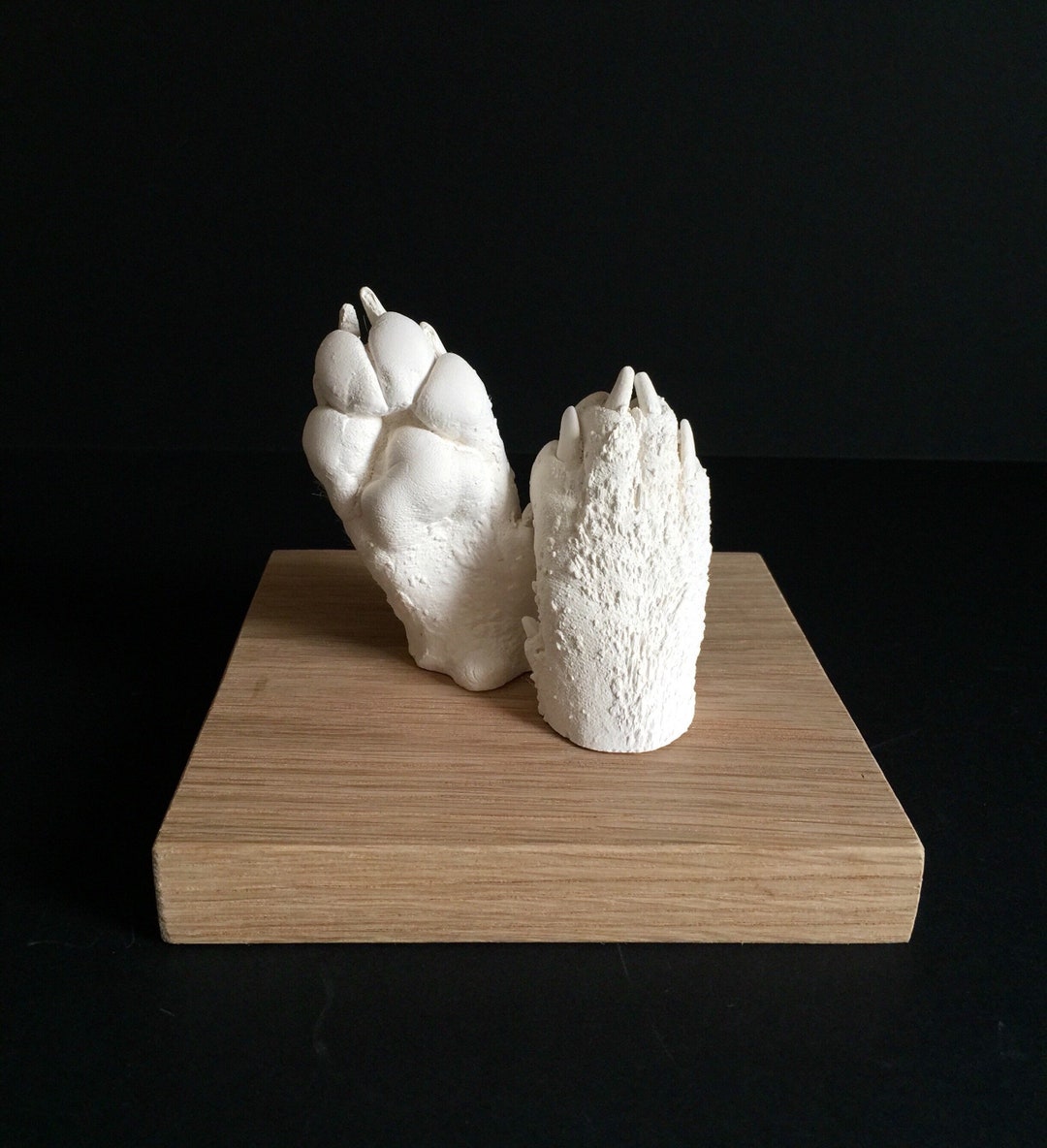 Paw Casting Kit the Perfect Christmas Gift for Dog Lovers - Etsy UK