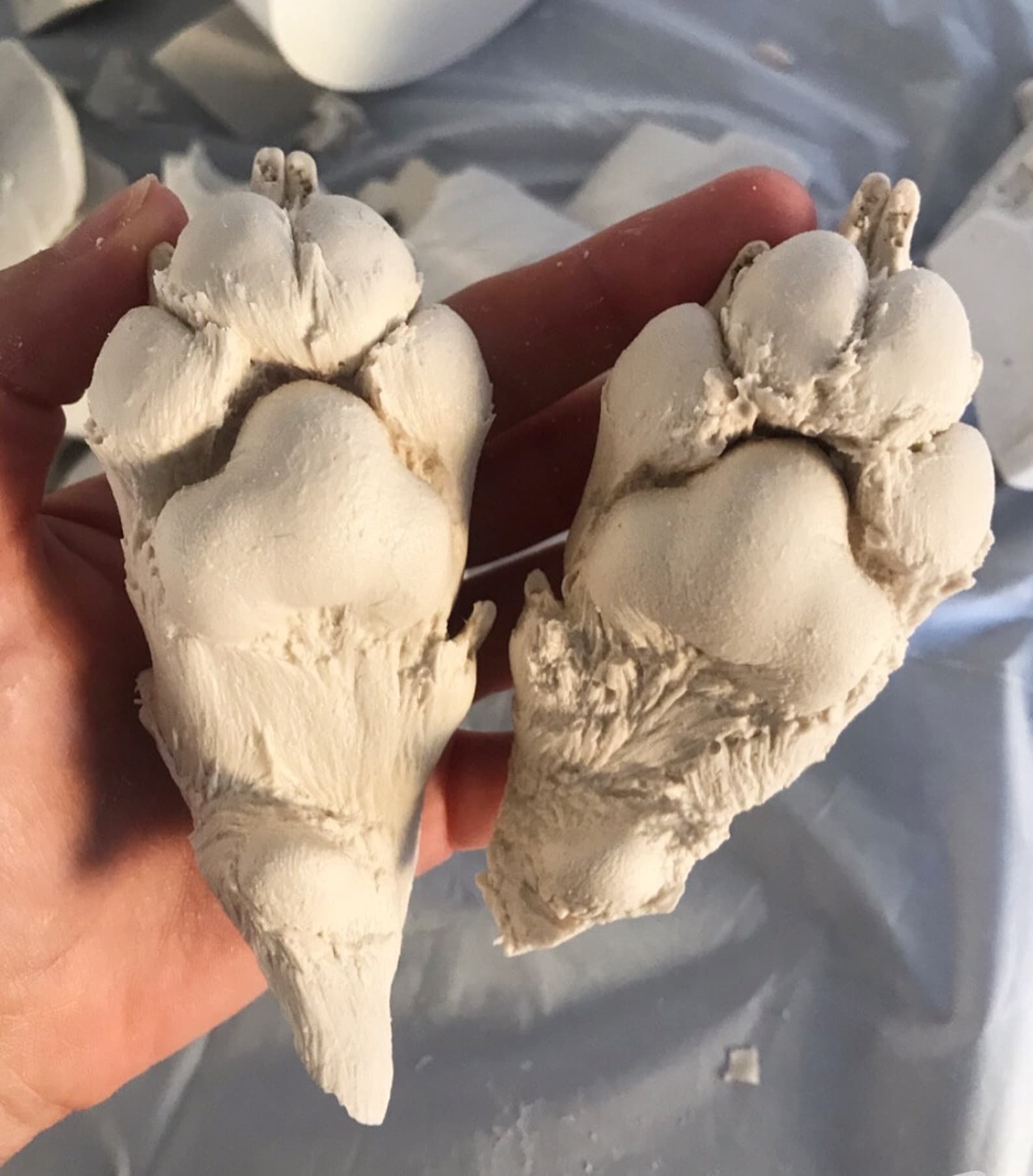 Paw Casting Kit produce 4 Individual Castings - Etsy