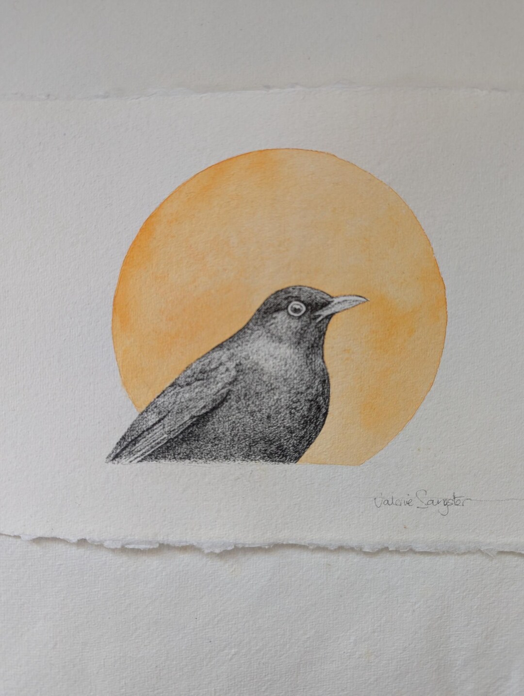 Original Pen & Ink Drawing of a Blackbird - Etsy