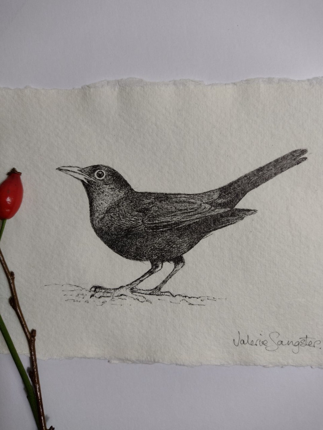 Original Pen& Ink Drawing - Etsy