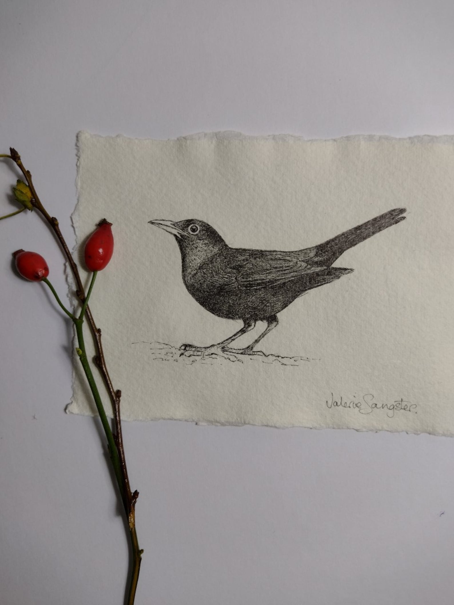 Original Pen& Ink Drawing - Etsy