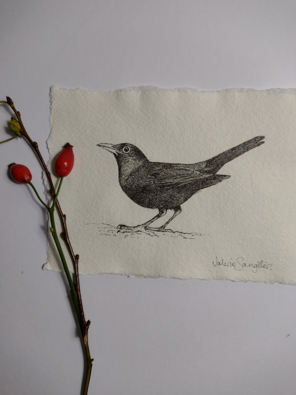 Original Pen& Ink Drawing - Etsy