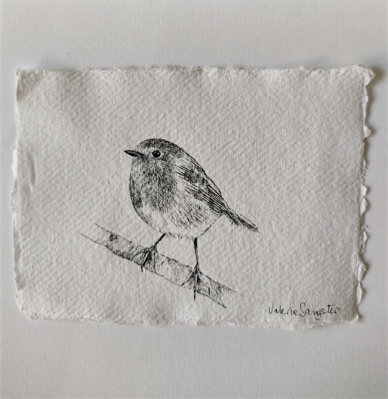 Original Drawing of a Robin in Pen and Ink - Etsy UK