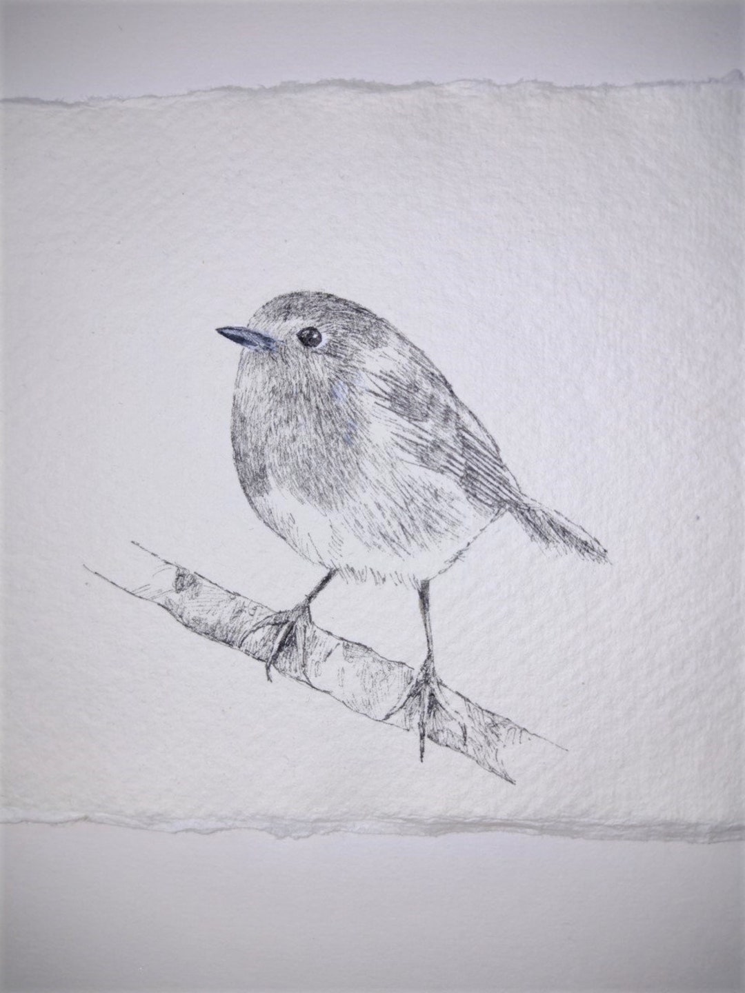 Original Drawing of a Robin in Pen and Ink - Etsy UK