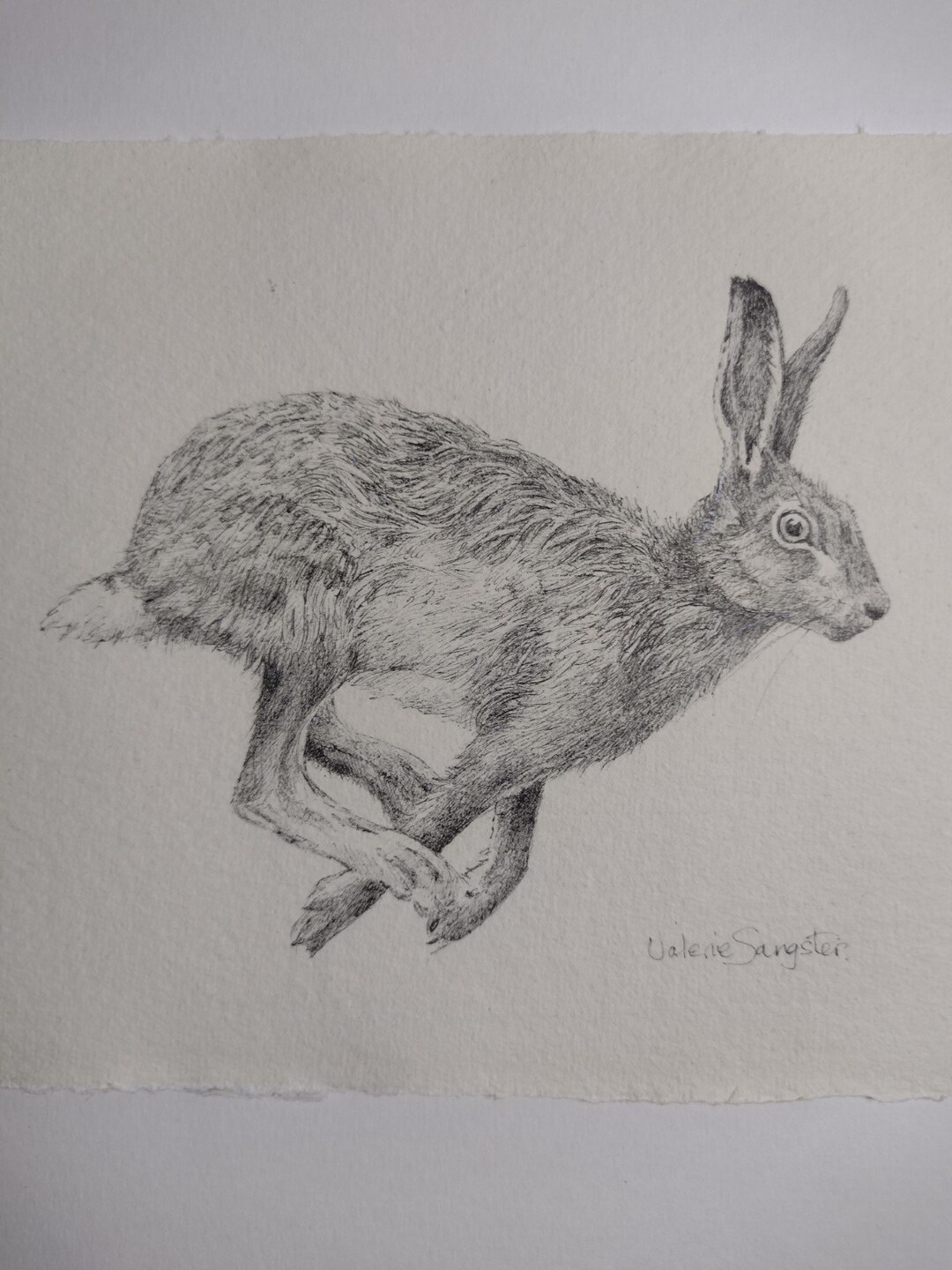 Original Pen and Ink A5 Drawing of a Running Hare, on Hand Made ...