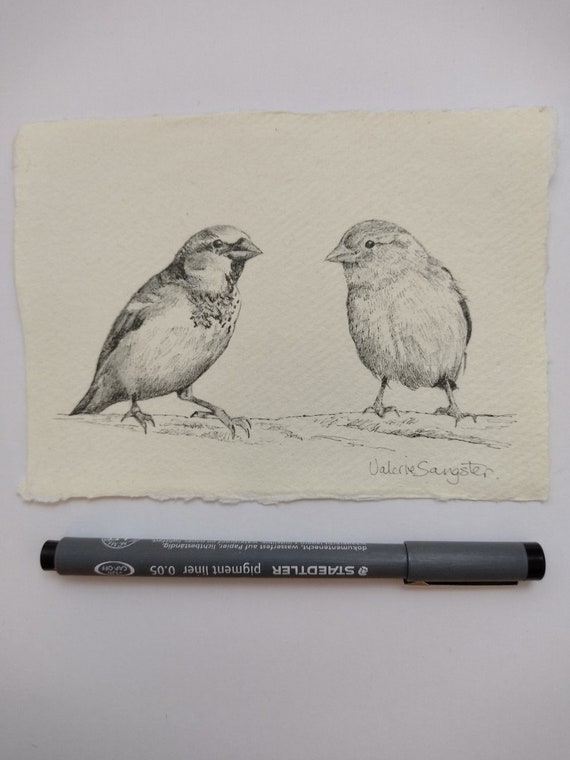 Two Sparrows Drawing