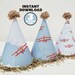Printable Airplane Party Hat, Flying Plane Party Decor, Air Craft Party ...