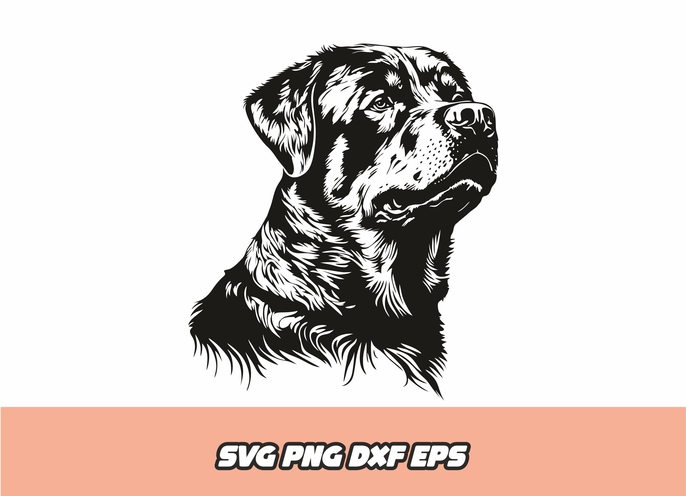 Rottweiler Svg, Dog Silhouette, Rottweiler Head Svg - Etsy