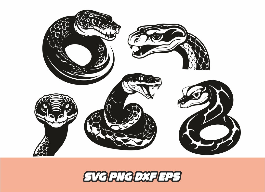 Snake Svg, Angry Snake Silhouette, Vector Rattle Snake Clipart - Etsy