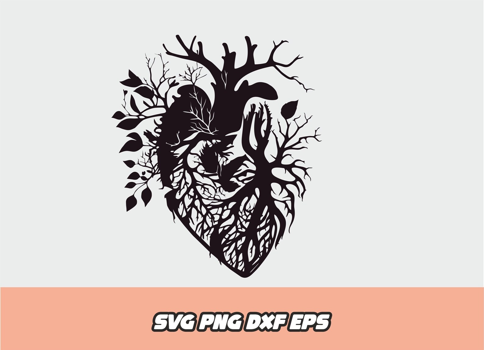 Anatomical Heart Svg, Cardiology Svg, Cardiologist Life Clipart, Floral ...