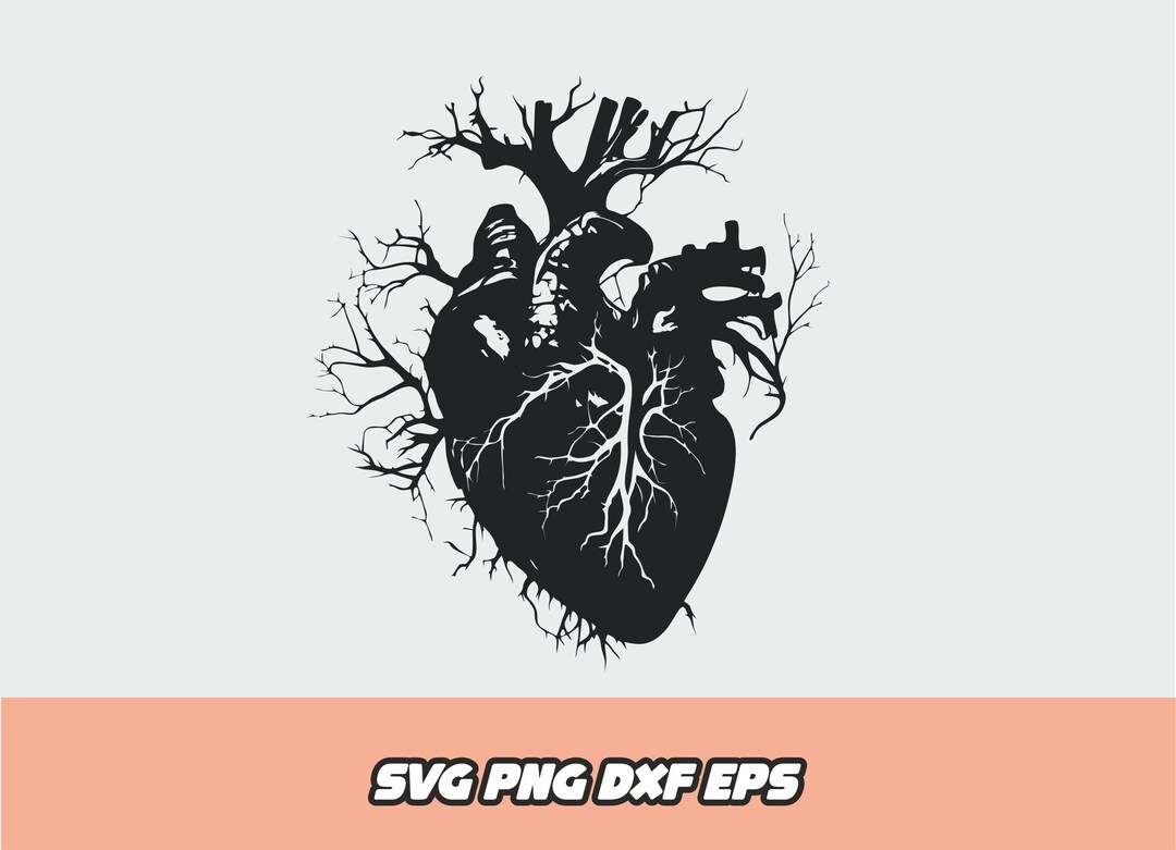 Anatomical Heart Svg Cardiology Svg Cardiologist Life - Etsy Canada