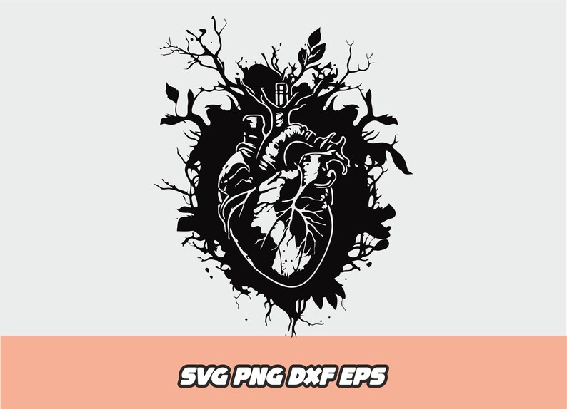 Corazón anatómico svg, Cardiología svg, cardiólogo life clipart ...