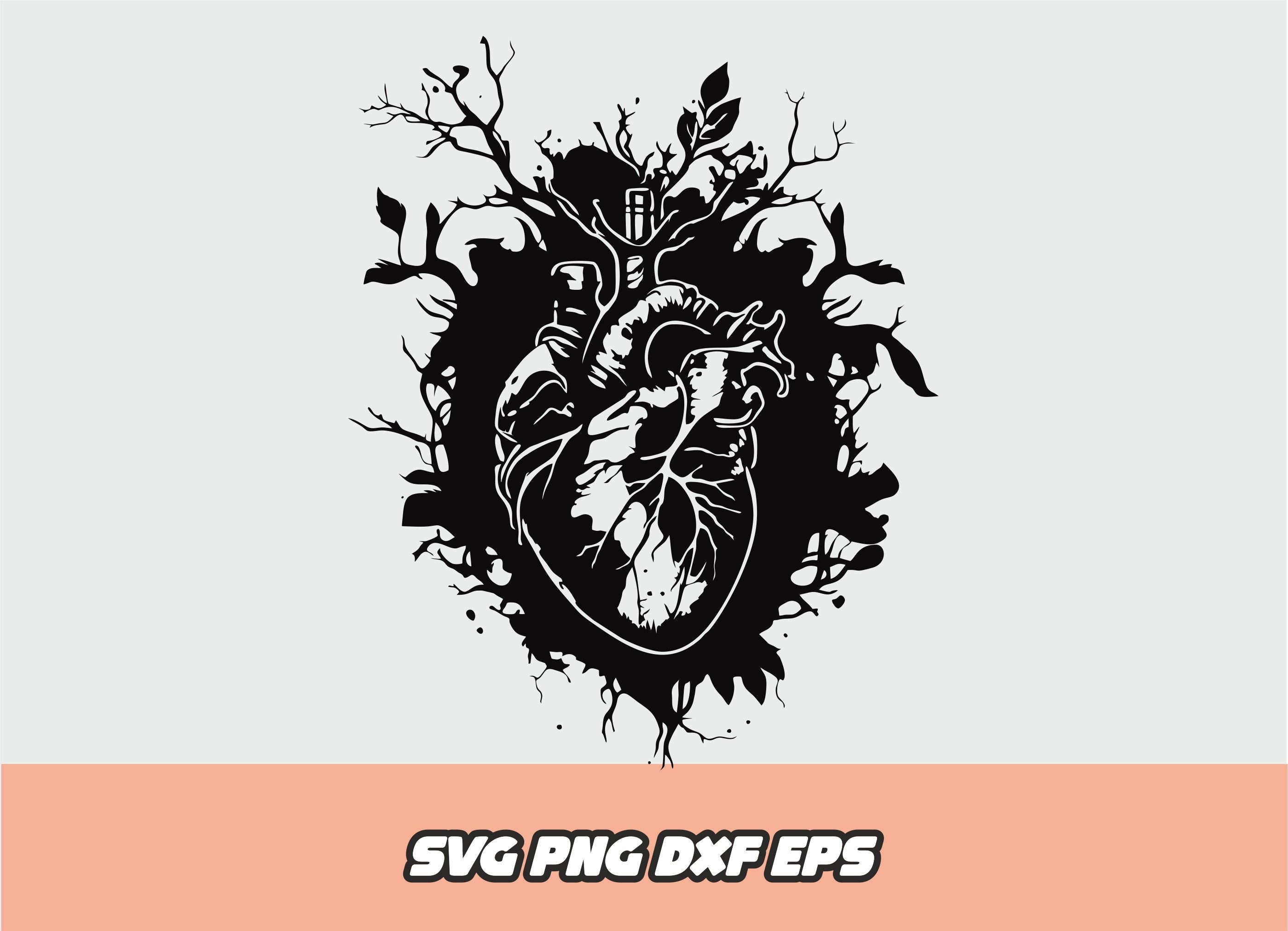 Corazón anatómico svg, Cardiología svg, cardiólogo life clipart ...