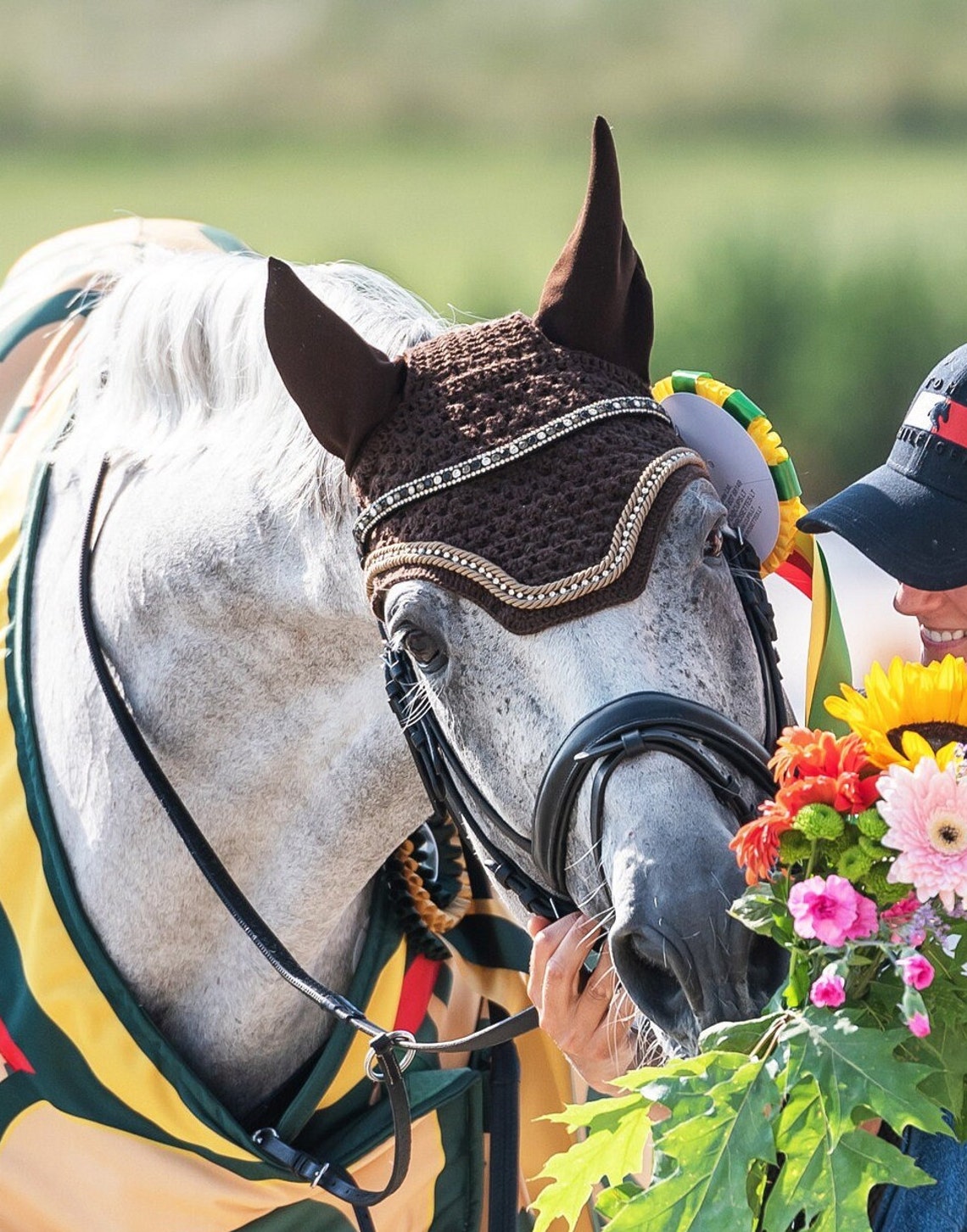 Horse Fly Bonnet, Horse Fly Veil, Horse Ear Net - Etsy