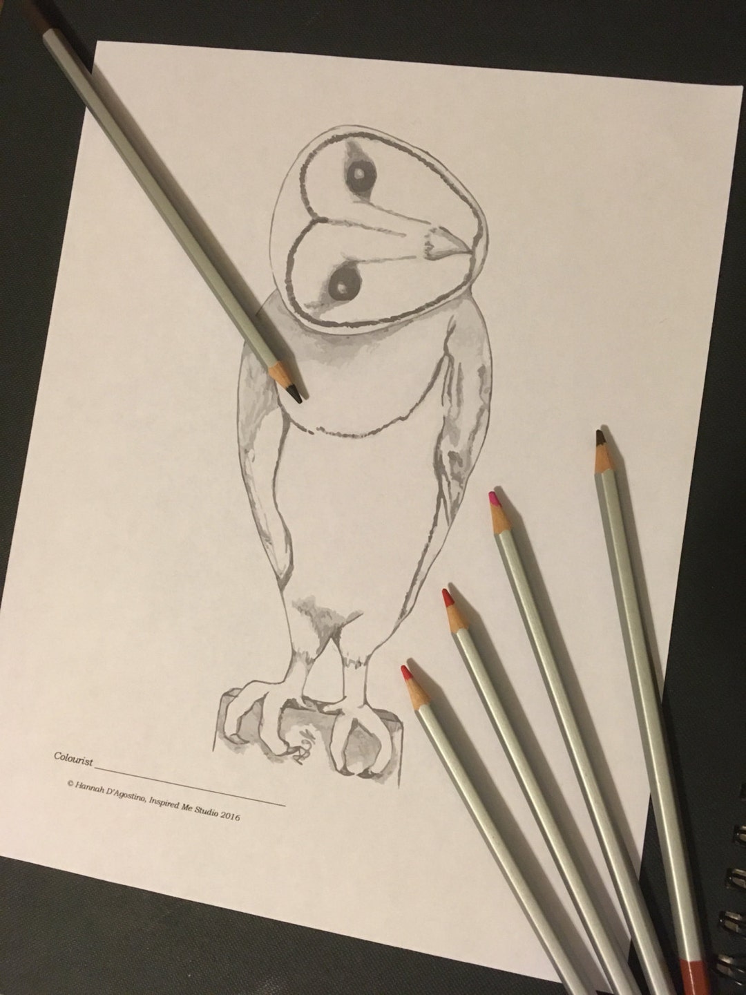 Greyscale Barn Owl Coloring Page, Digital Download - Etsy