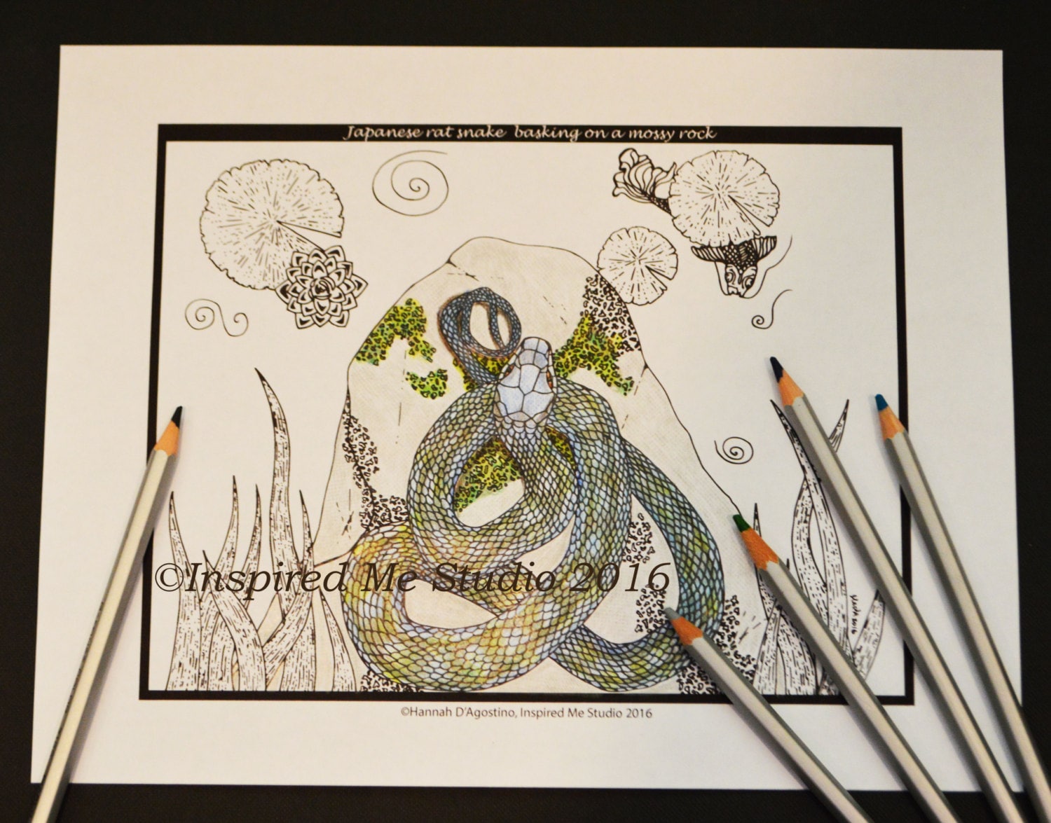 Rat Snake Coloring Pages