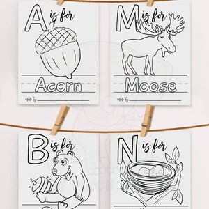 DIY Woodland ABC 123 Group Activity for Book Themed Baby Shower ...