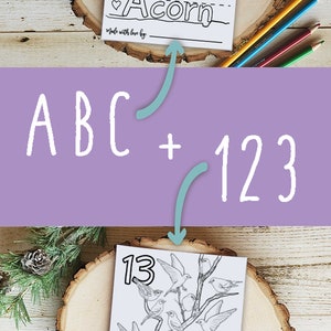 Woodland ABC + 123 Digital Bundle, Baby Shower Coloring Book Activty ...