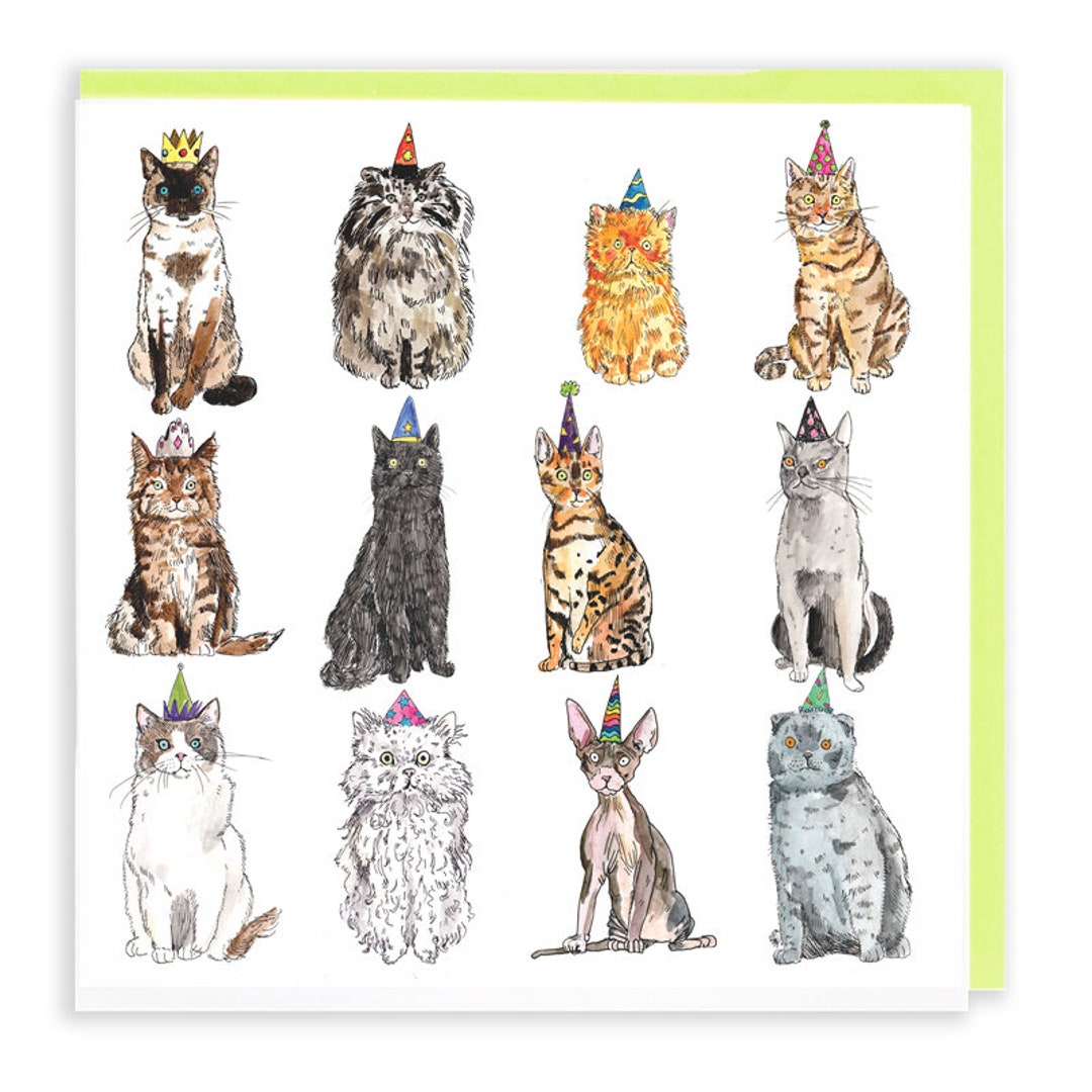 Cats in Party Hats Greetings Card Animal Party Humour Cute - Etsy