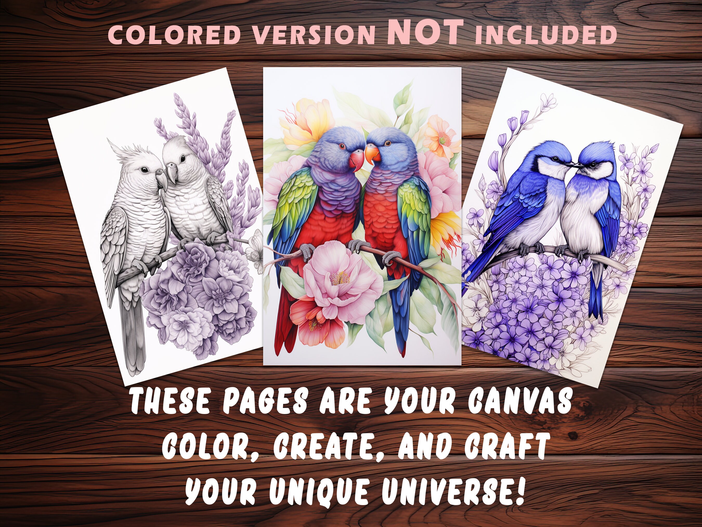 24 Love Birds Coloring Book Adorable Bird Illustrations for Adults and ...