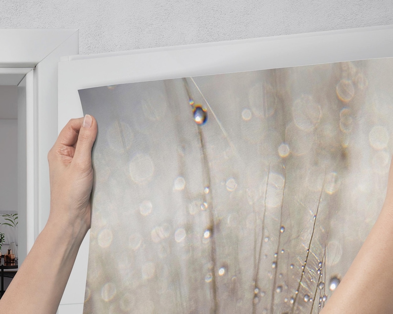 Drops on A Dandelion Door Sticker, Self-adhesive Cover, Abstraction ...