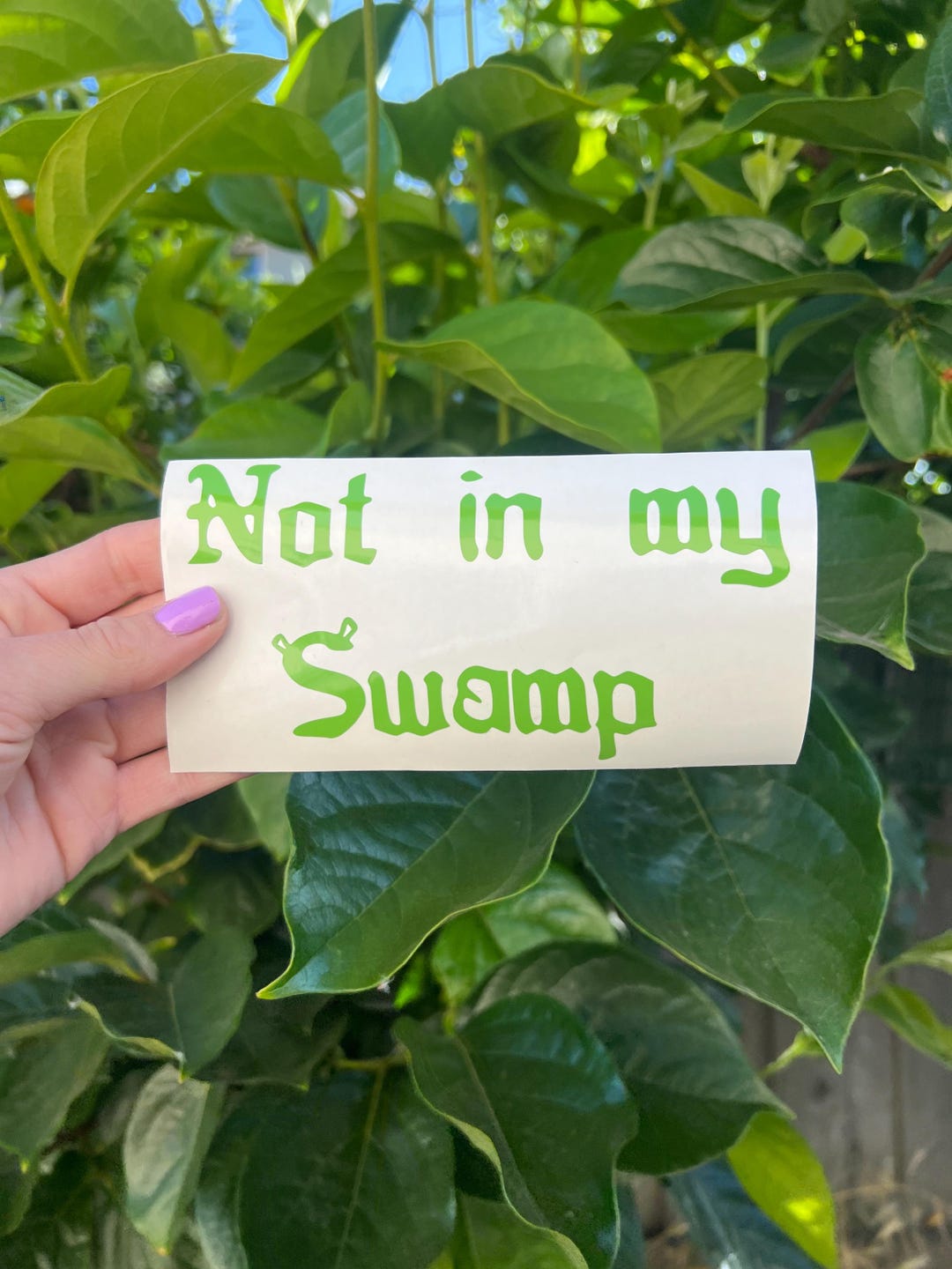 Shrek “not in My Swamp” Bumper Sticker - Etsy