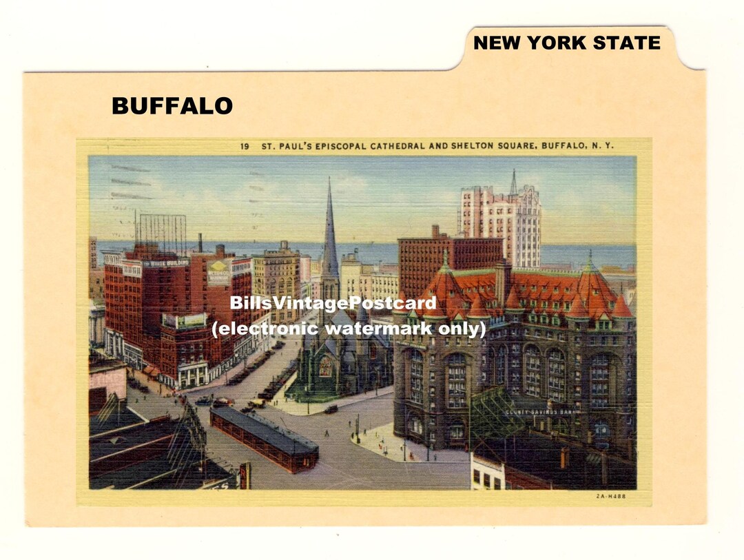 BUFFALO 8 CARDS - Etsy
