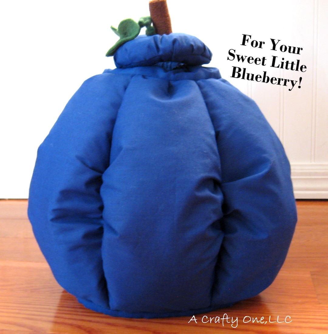 Blueberry Costume Child Original First Halloween Toddler Halloween ...