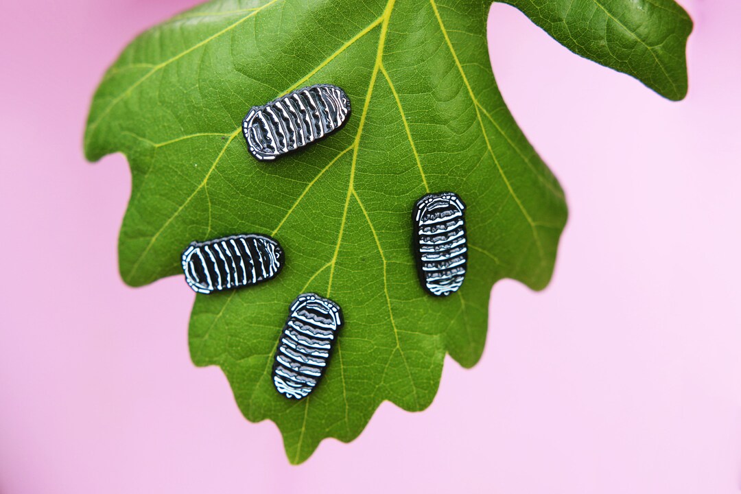 Zebra Isopod Roly Poly Soft Enamel Lapel Pins - Etsy