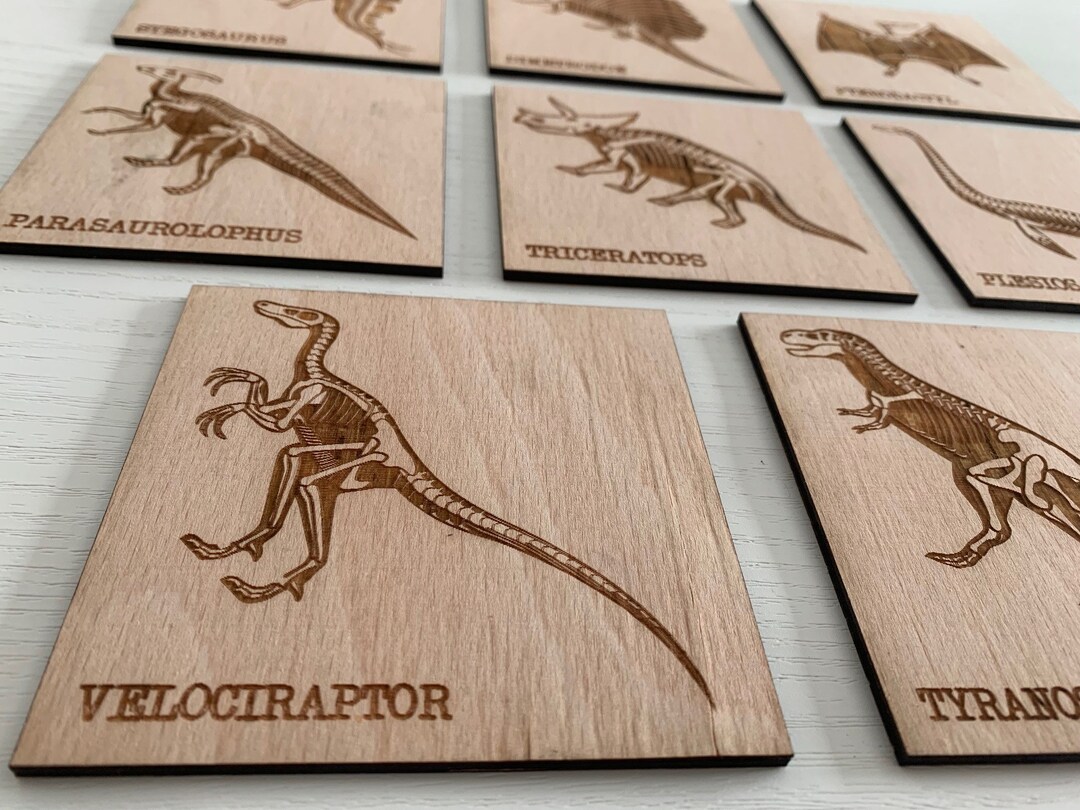Dinosaur Fossil Skeleton Coaster Set of 8 - Etsy UK
