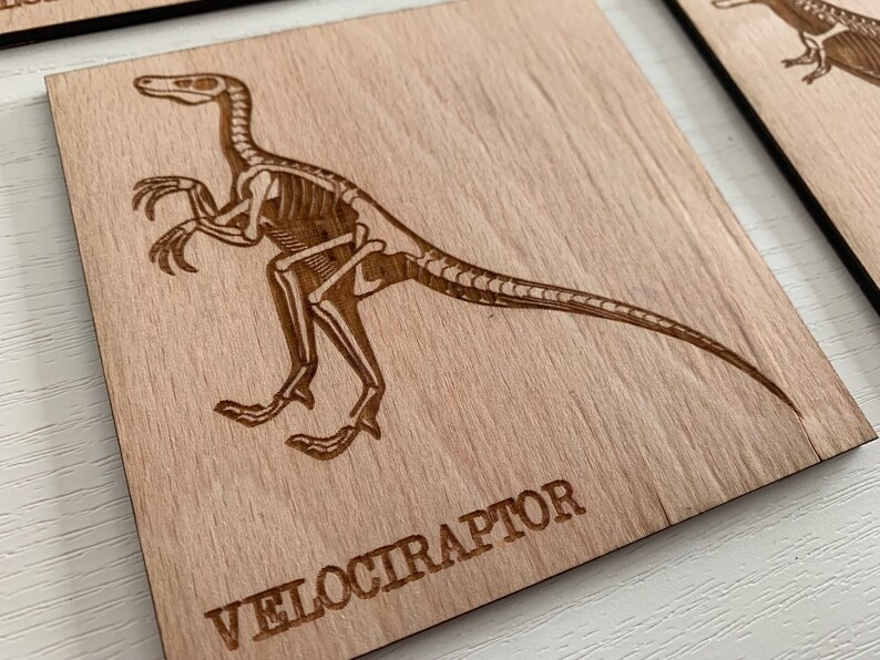 Dinosaur Fossil Skeleton Coaster Set of 8 - Etsy UK