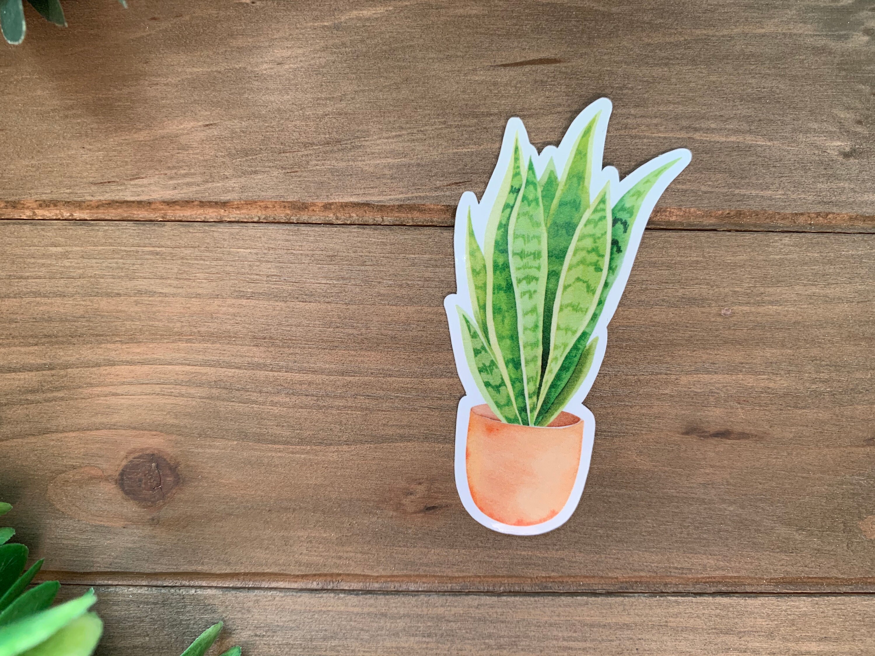 Boho WATERCOLOR HOUSEPLANT Sticker Pack | Plants | Water Resistant ...