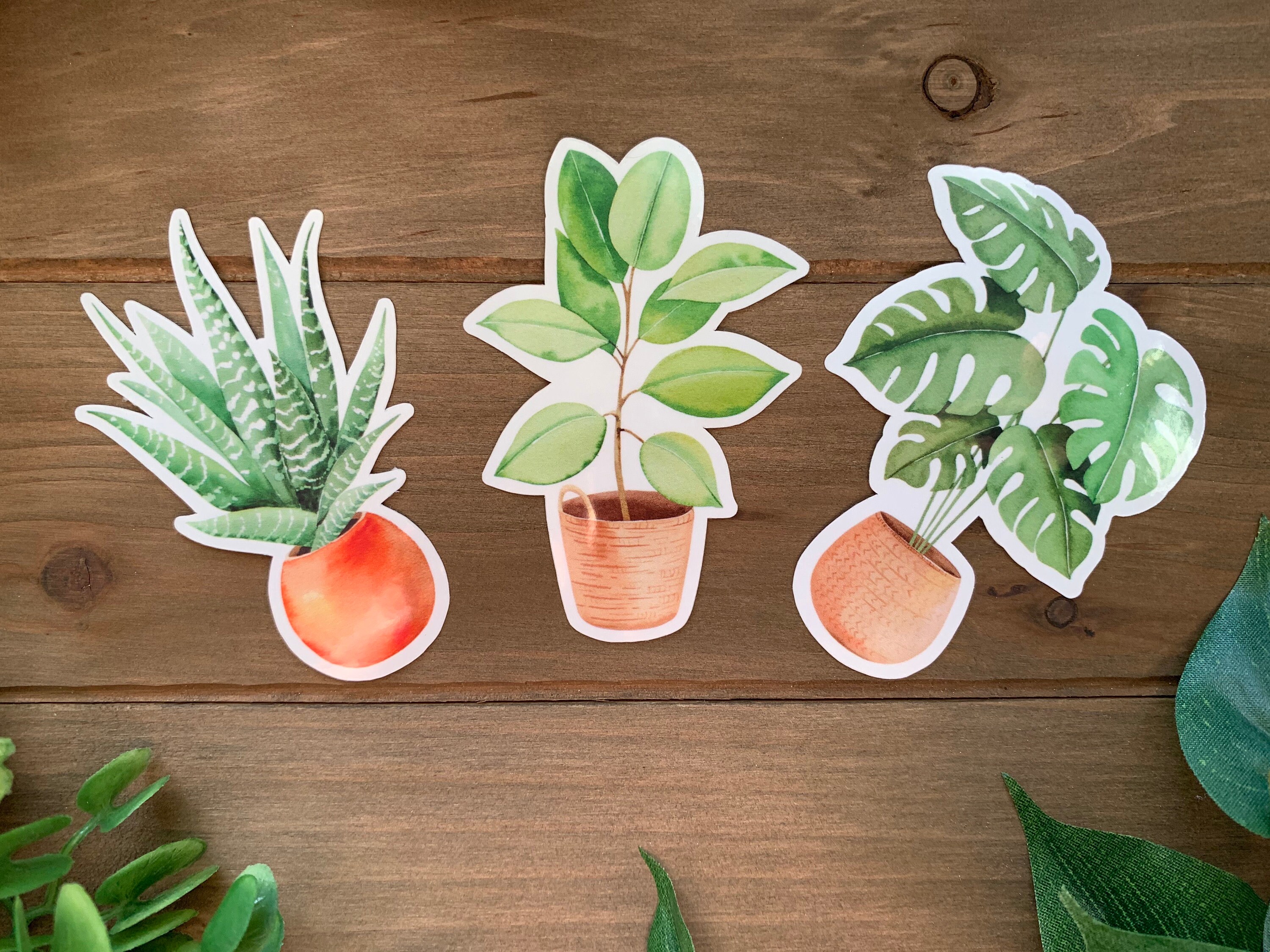Boho WATERCOLOR HOUSEPLANT Sticker Pack Plants Water | Etsy