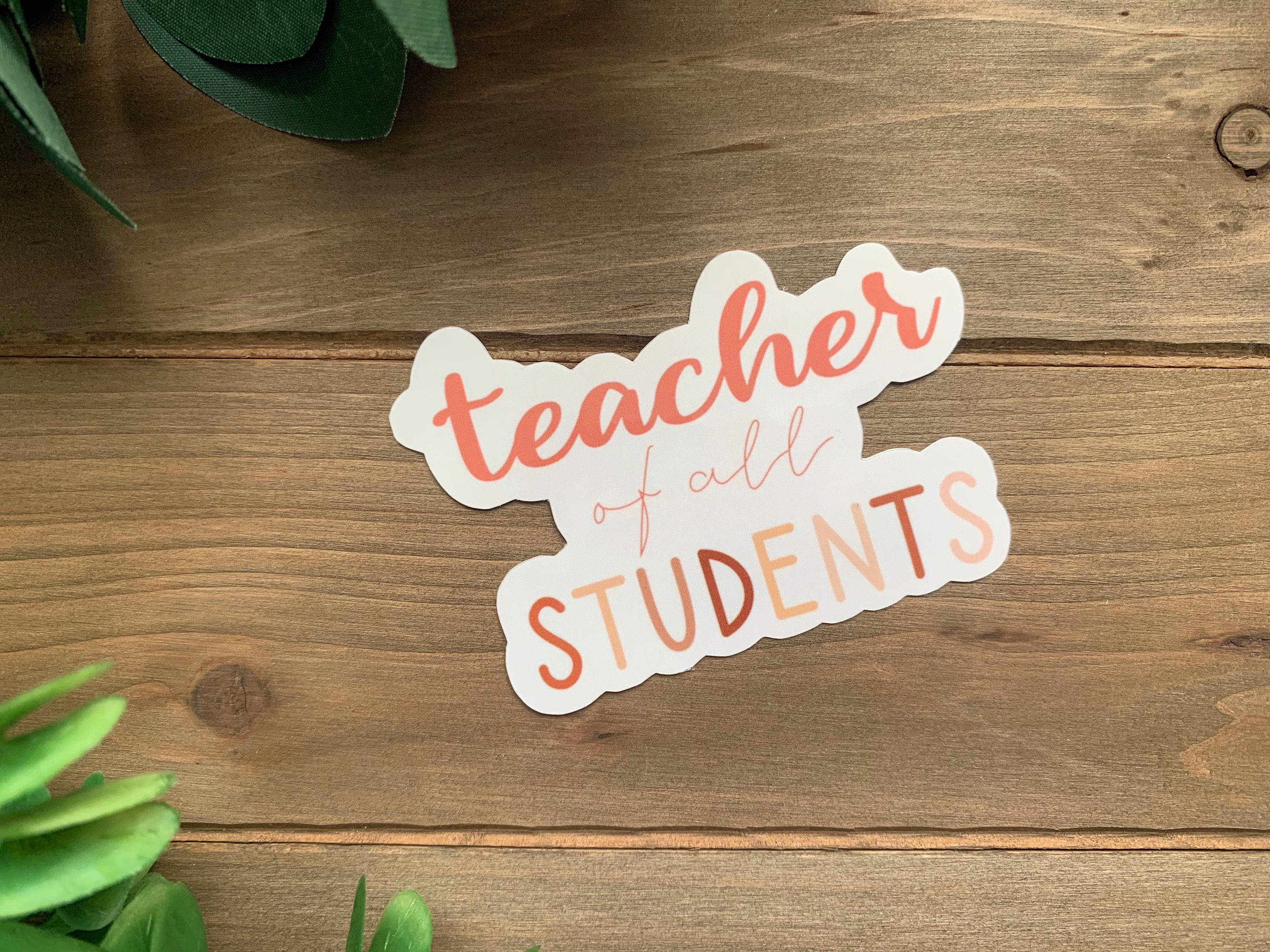 Boho TEACHER Sticker Pack Education Aesthetic Water - Etsy UK